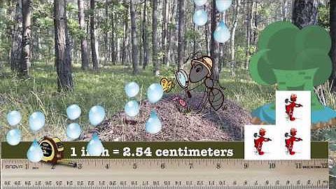 CC CYCLE 1 WEEK 17 - YouTube