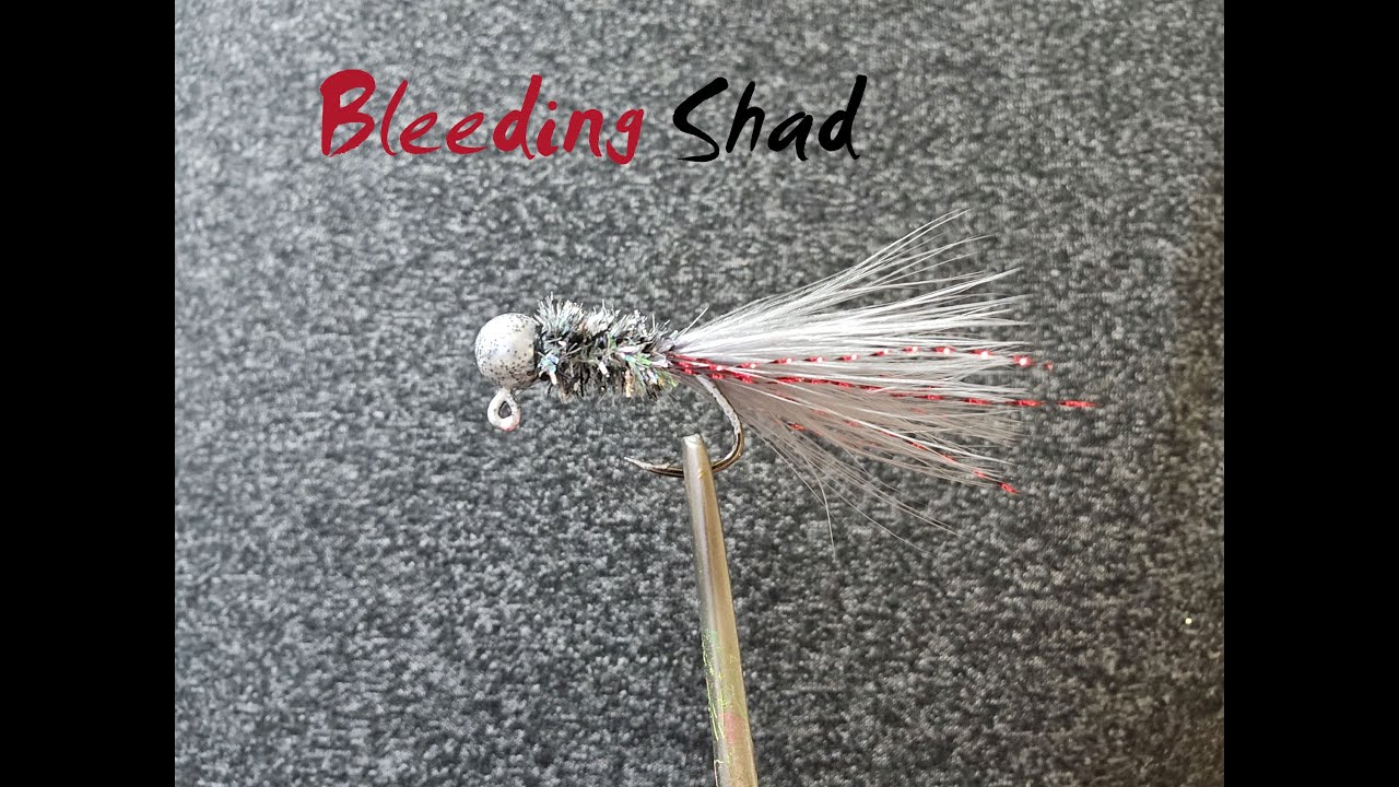 Bleeding Shad Crappie Jig - YouTube