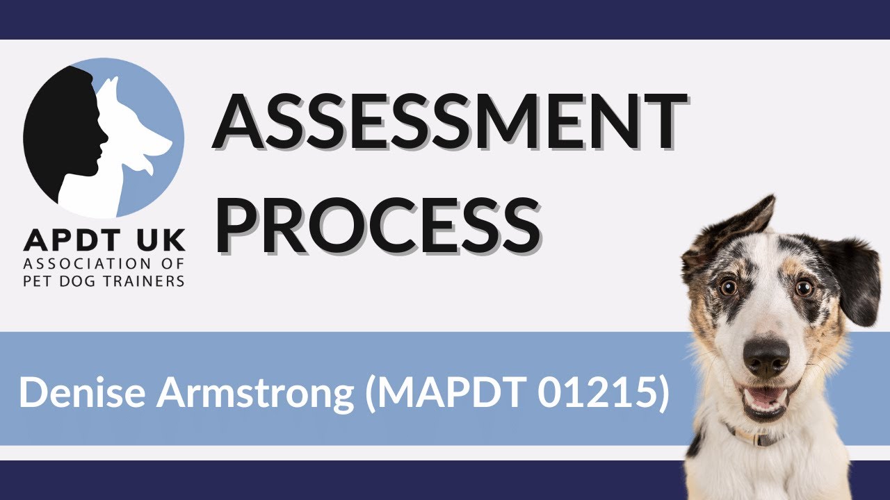 🐶 APDT Assessments Presentation - How to become an APDT Member - YouTube