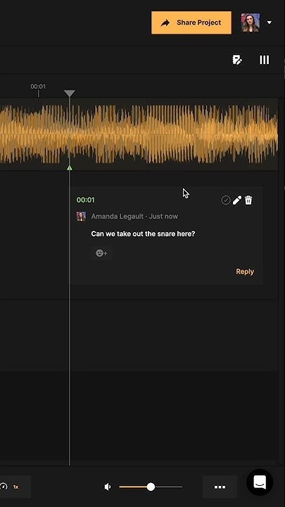 How to Comment on an Audio File - YouTube