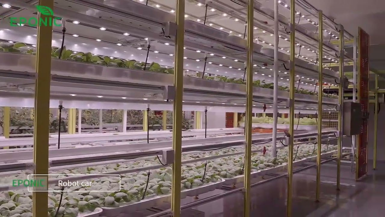 full automation plant factory system ，vertical farming @EPONIC ...