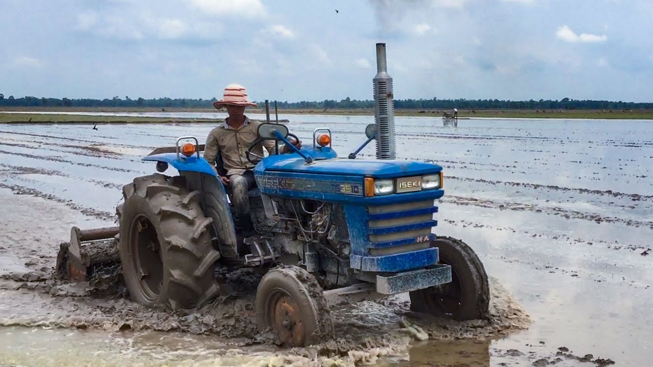 How To Prepare Land For Rice Cultivation In My Village! Tractor ...