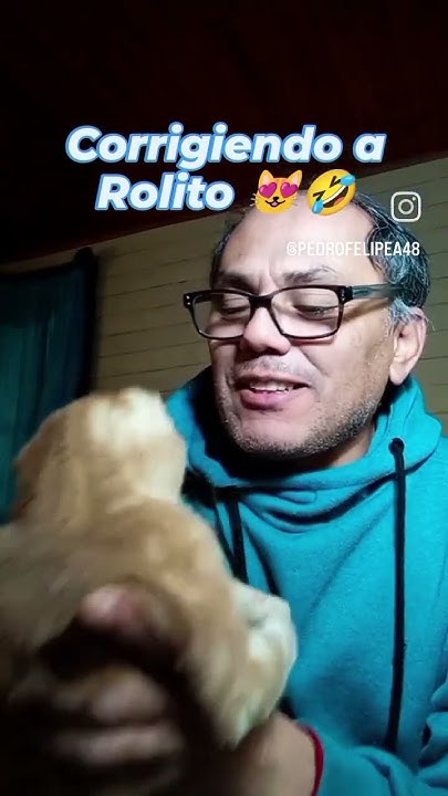 Corrigiendo a Rolito 🤣😻 - YouTube