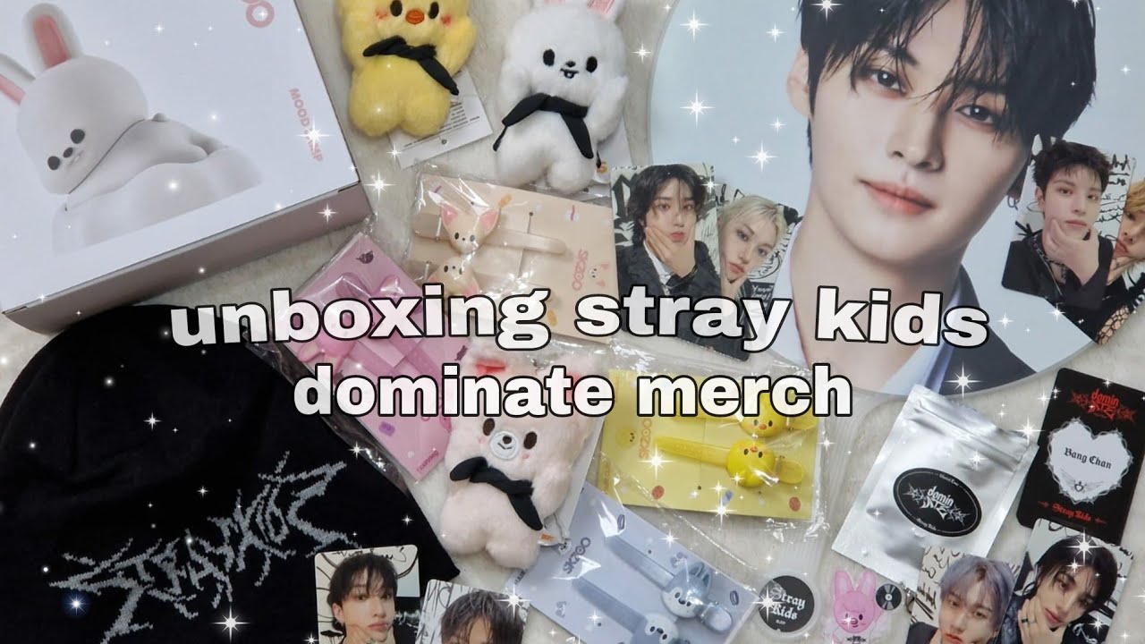 STRAY KIDS DOMINATE MERCH HAUL / aka alot of cute merch •° - YouTube