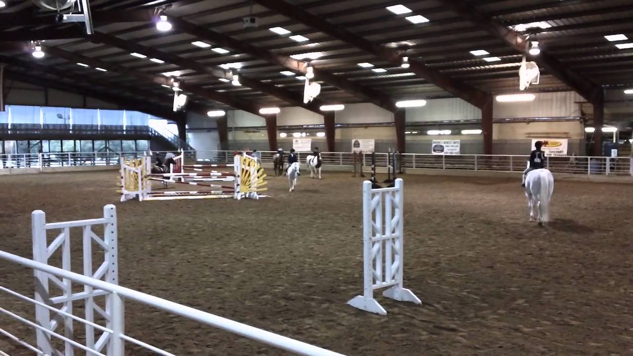 Walk/trot Hunter Flat Class - YouTube