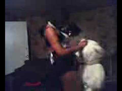lapdancing on a teddy bear