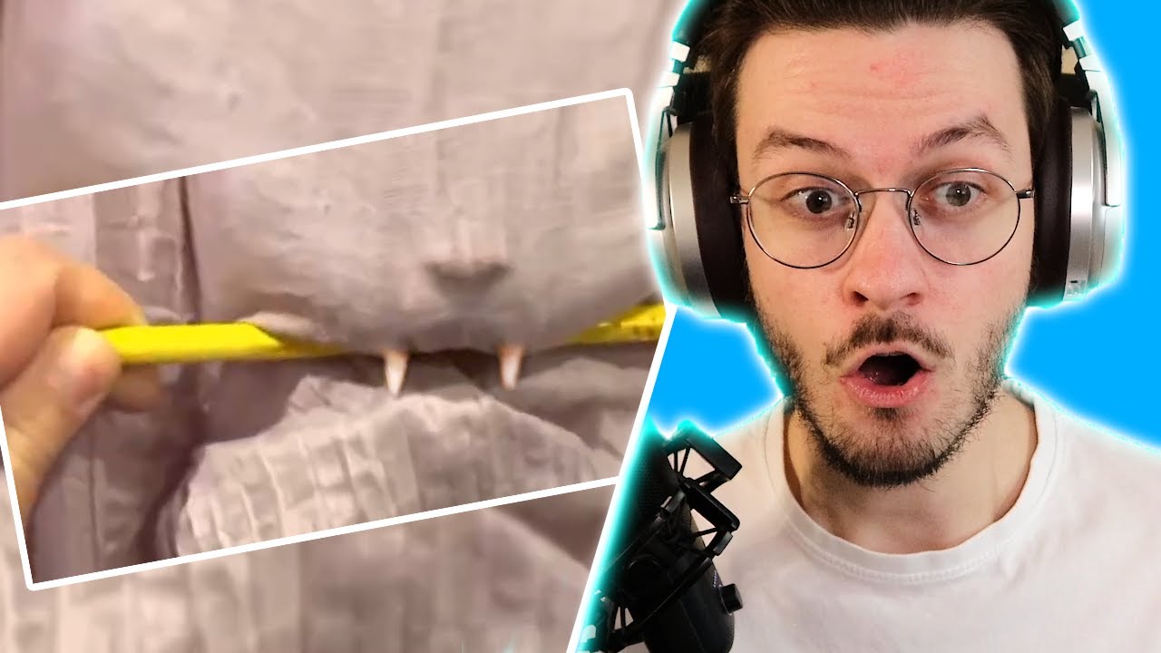 DAX REACTS TO UNUSUAL MEMES COMPILATION V193 - YouTube