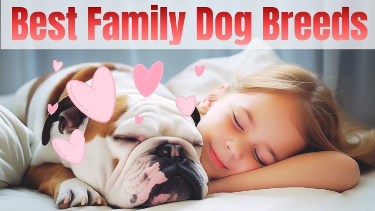 🐾Best Dog Breeds for Families and Kids: What Parents Must Know - YouTube