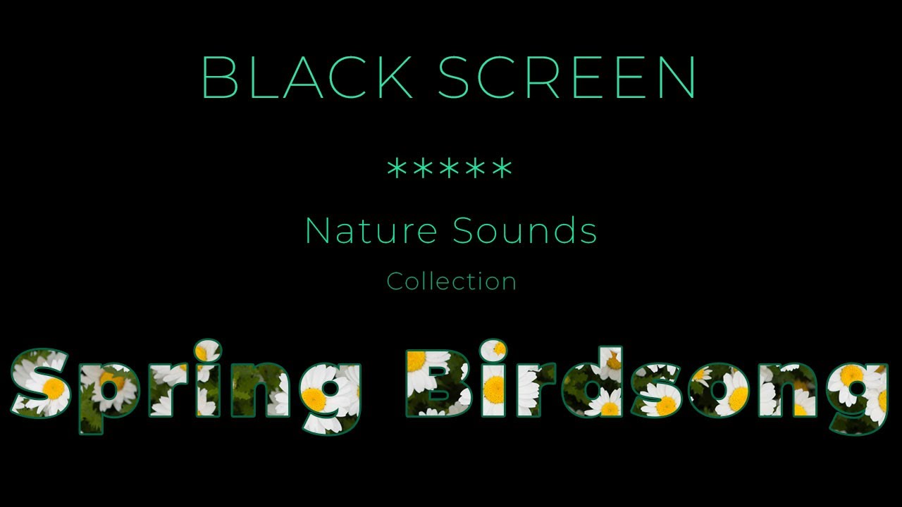 Nature Sounds, Spring Bird Sounds - Black Screen - Relaxing Sound ...