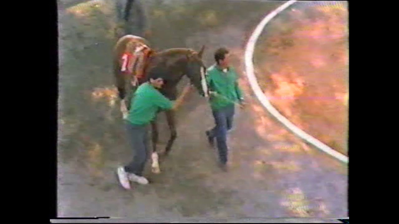 All stars show 1986 day 1 - YouTube