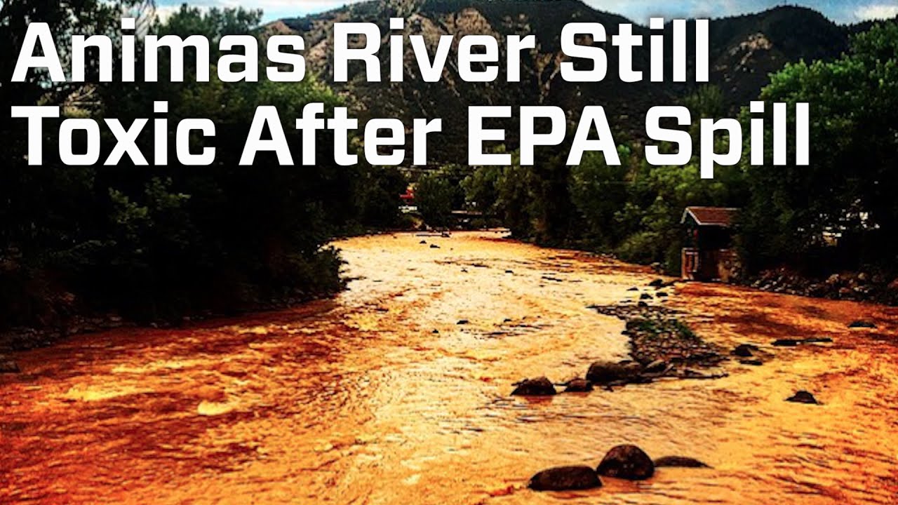 Animas River Still Toxic After EPA Spill - YouTube
