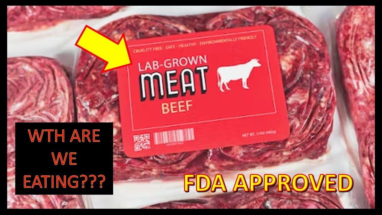 The Awakening: FDA Approved Cloned Lab Meat - YouTube