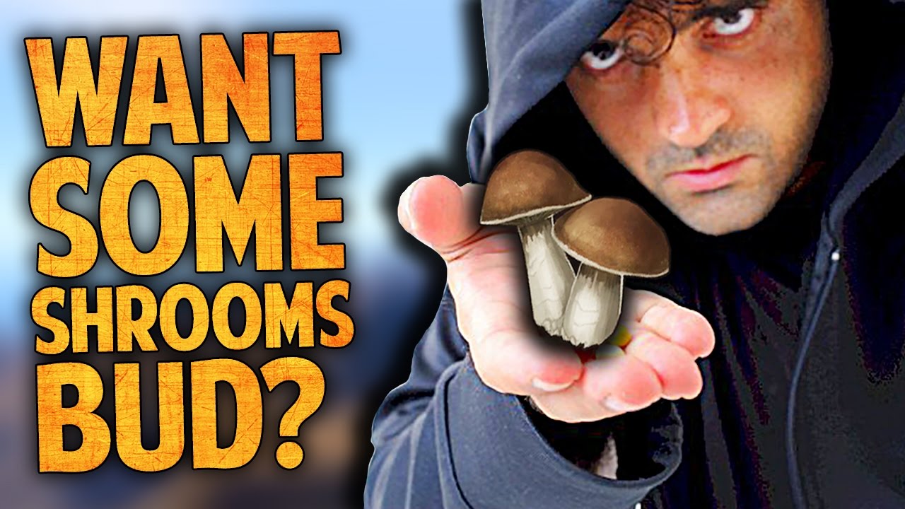 SHROOMS DEALER? - Rust - YouTube