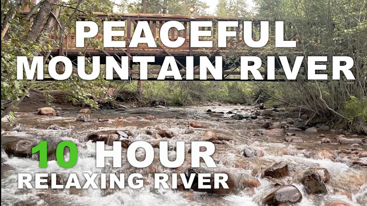 Colorado Mountain Stream - Trickling Brook - Relaxing Water Sound ...