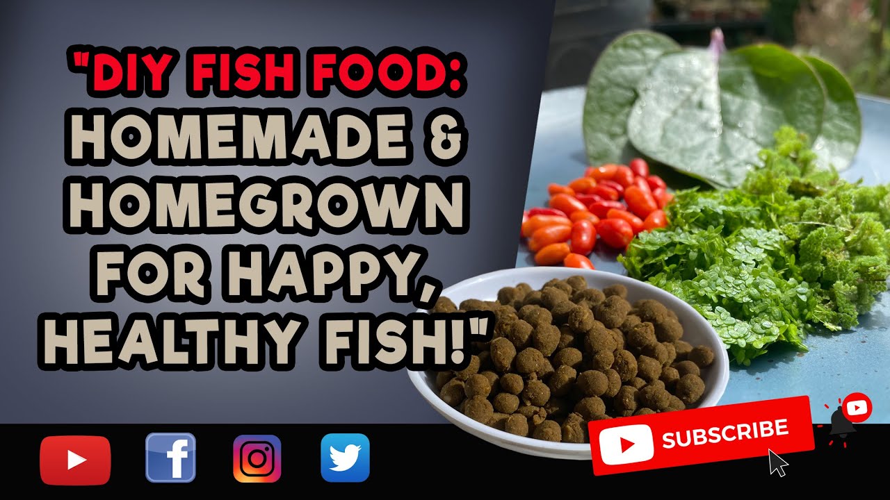 DIY Fish Food: Homemade & Homegrown for Happy, Healthy Fish! 🐠🌱 - YouTube
