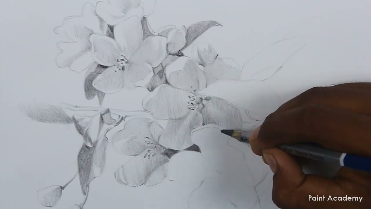 Pencil Drawing - How to Shade Flowers | Petal Shading Techniques | step ...