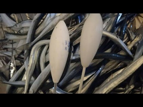 Bombarda Float Good Technique For Catching Needle Fish or Batalay - YouTube