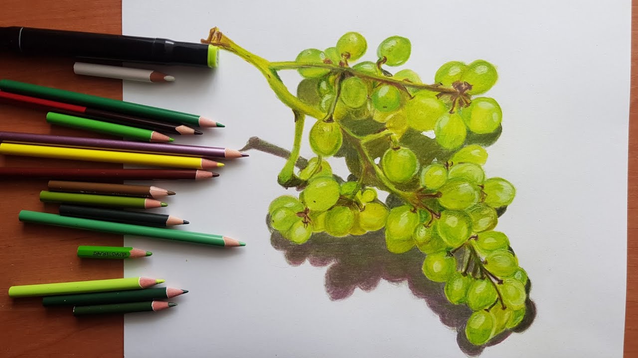 Drawing Grapes, Colored Pencils - YouTube