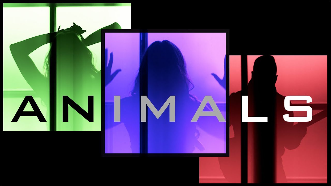 Animals - Maroon 5 | Ali Brustofski & PopGun Cover (Music Video) - YouTube