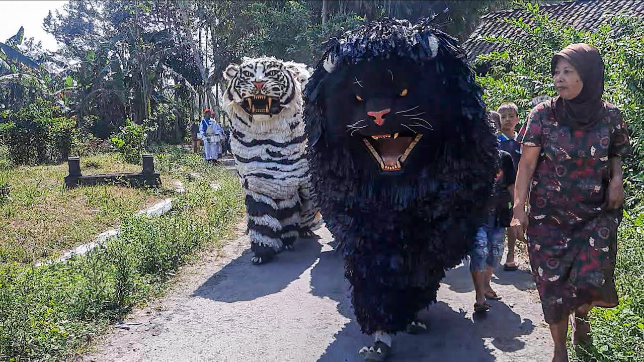 SPECIAL ATRAKSI MACAN JAVA || MACAN JAVA SINGO RAUNG DRUMBAND - YouTube