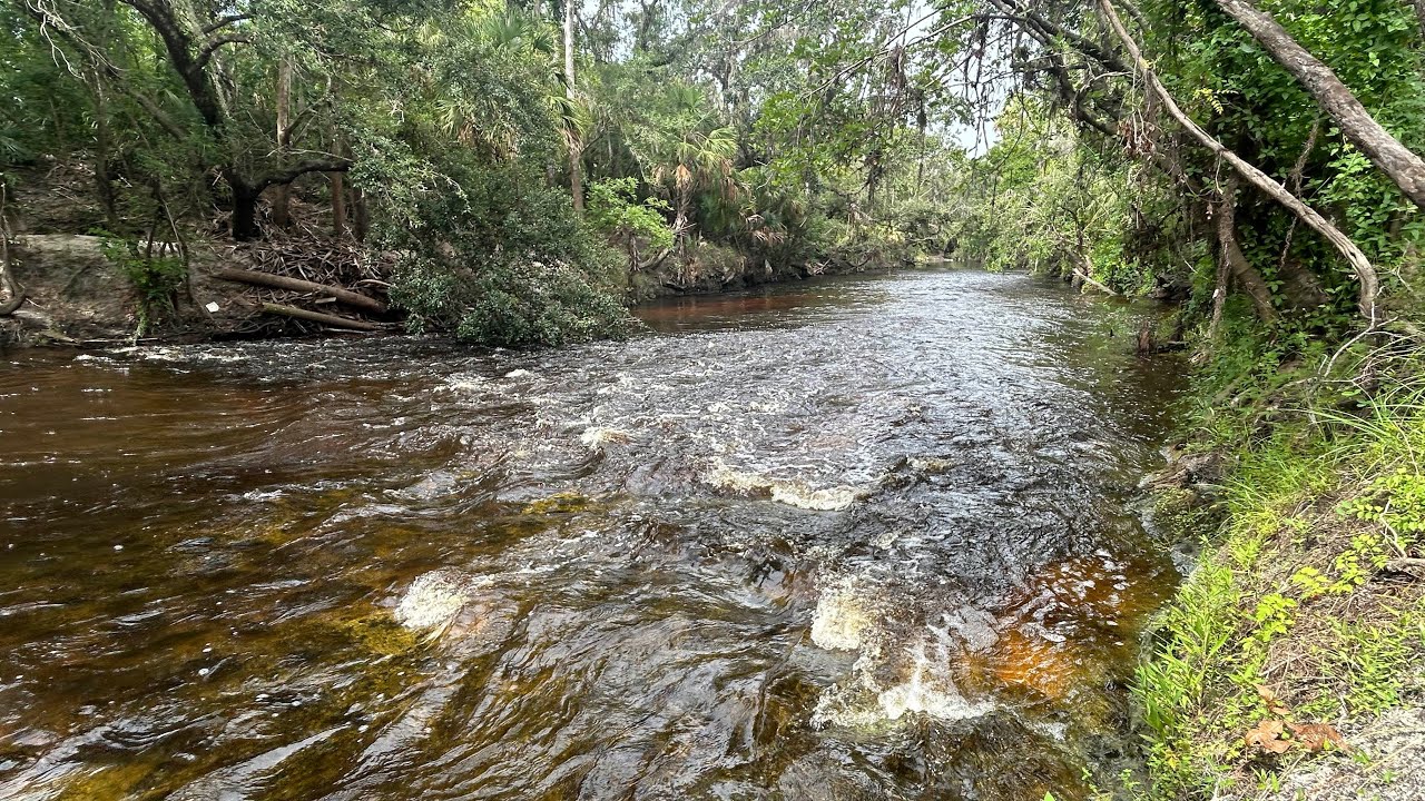 Alderman’s Ford Nature Preserve - YouTube
