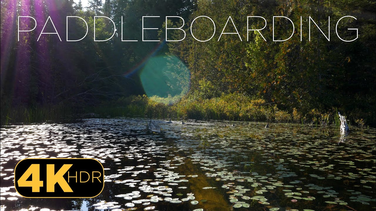 4K Lake Paddleboard Tour | Water Sound Ambience | Birds Singing Nature ...