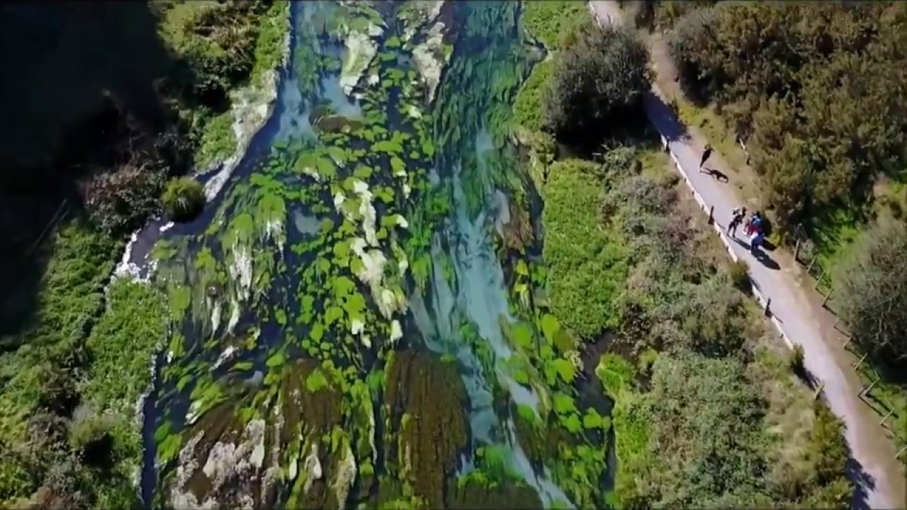Blue Springs - Putaruru (New Zealand) - YouTube