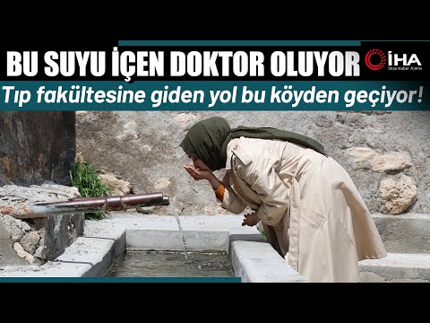 Bu Köyün Suyunu İçen Doktor Oluyor