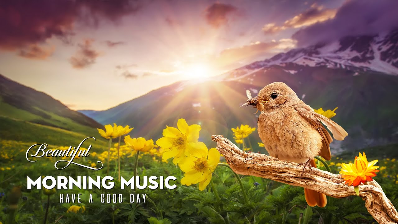 Beautiful Morning Music: Soft Relaxing Piano Music with Peaceful Birds ...