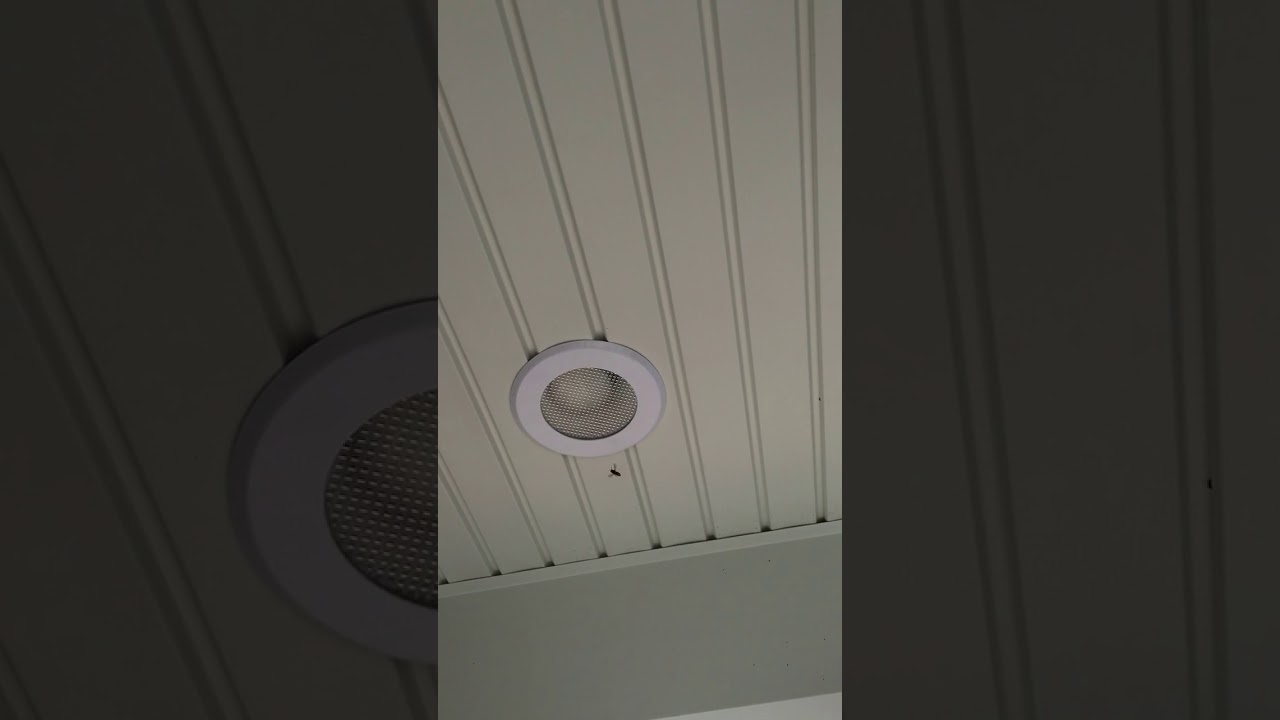 Turner No-Pest Light Covers - YouTube