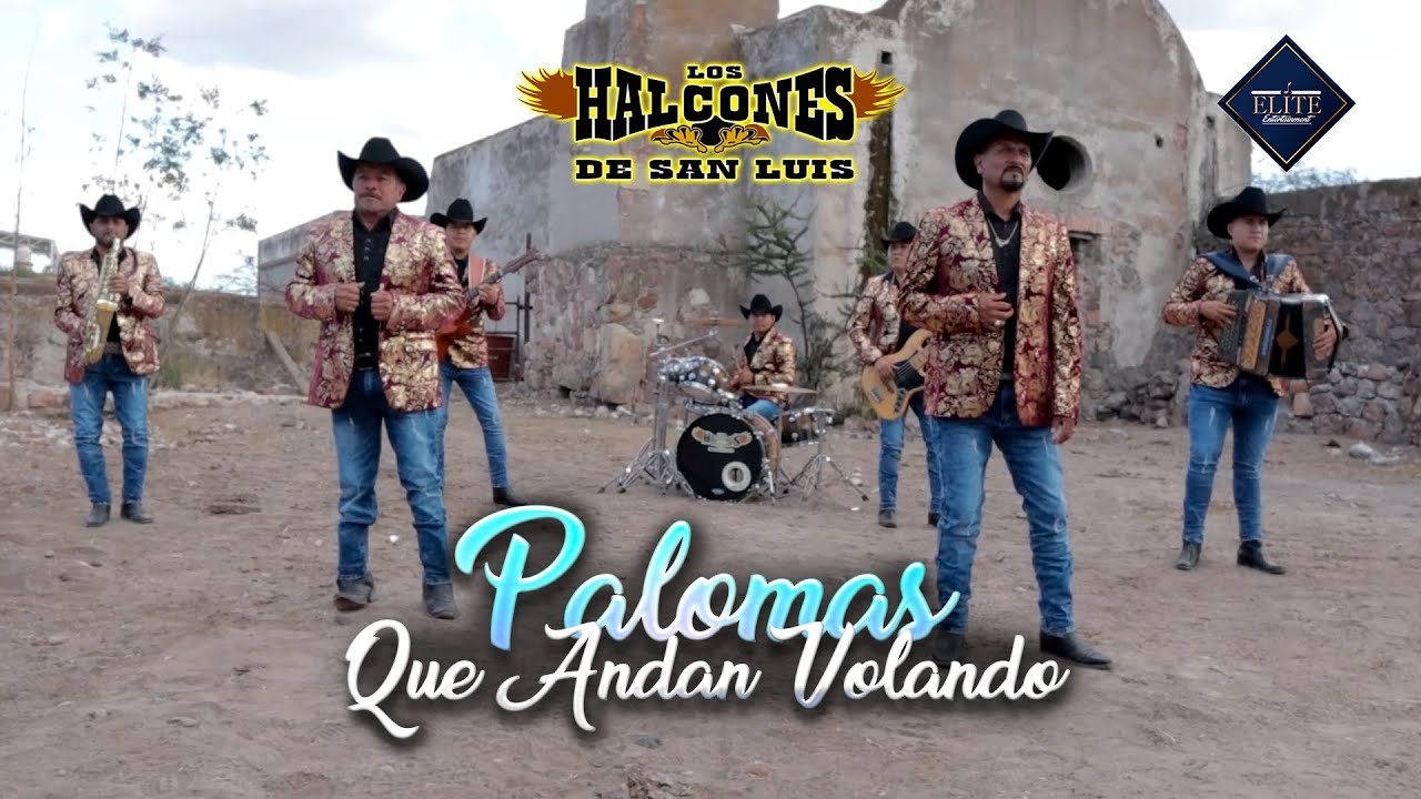 Palomas que andan volando - Los Halcones de San Luis - YouTube