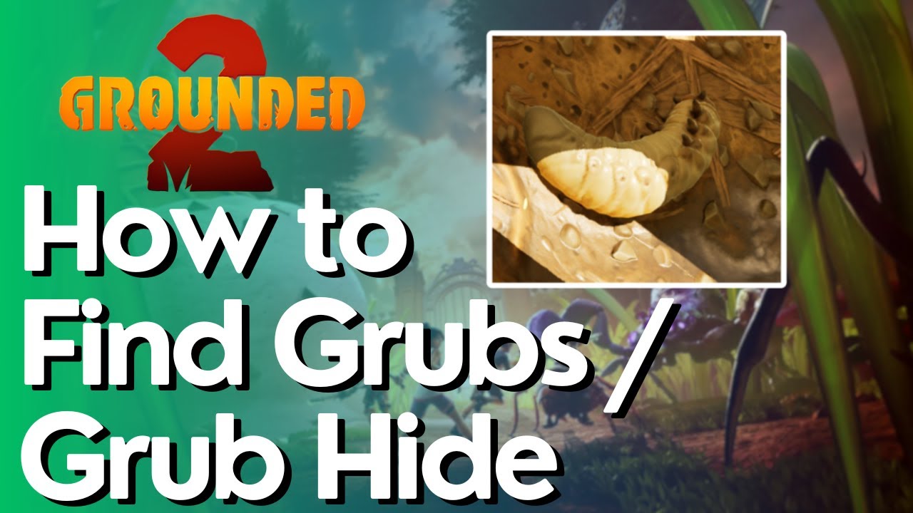 How to Find Grubs & Grub Hide in Grounded 2 - YouTube