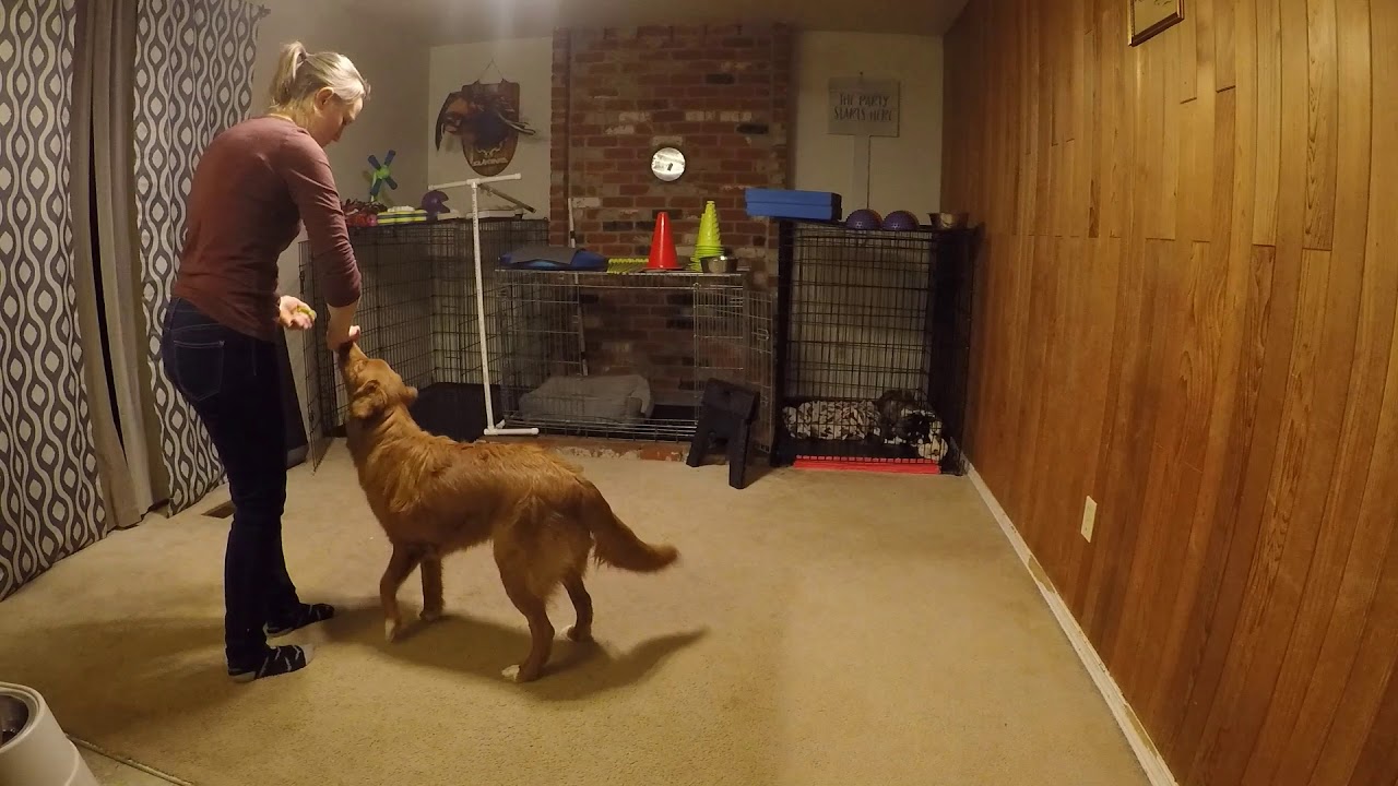 Day 76 - Riddick Side Stepping - YouTube
