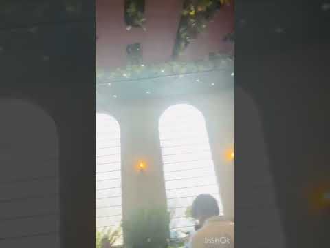 Arippa Restaurant | Great ambiance | One of the good restaurants in ...