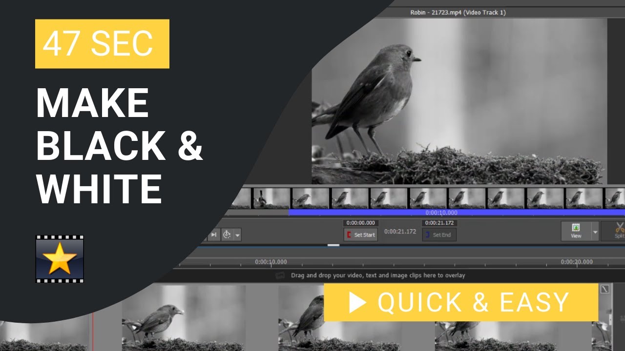 VideoPad Tutorial: How to Make Black and White video in VideoPad - YouTube