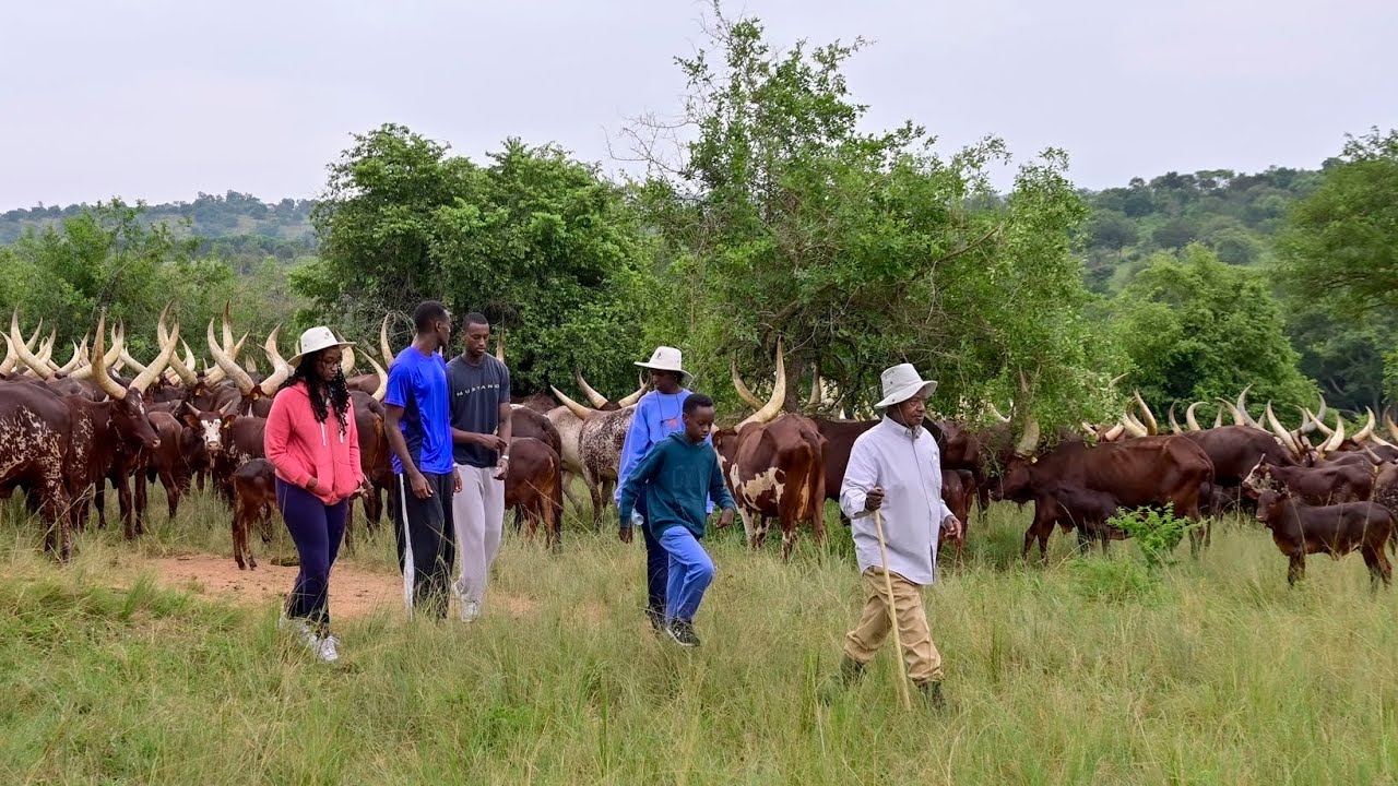 Museveni walks around Rwakitura on Christmas Day with wife Mama Janet ...