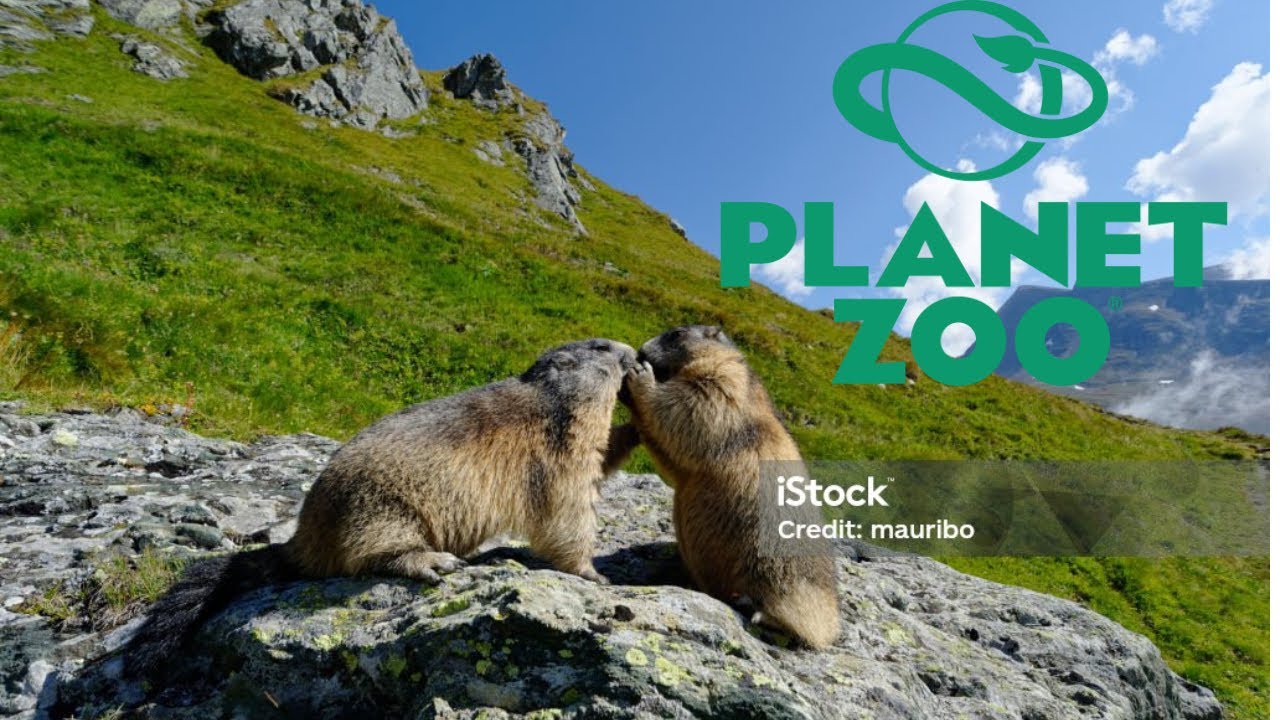 Alpine Marmot Habitat Speed build: Planet Zoo - YouTube