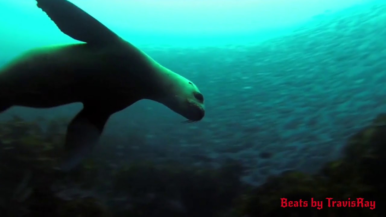 Obie One B.A. - Bemmer, Benz, Bentley Remix with Beats by TravisRay ...