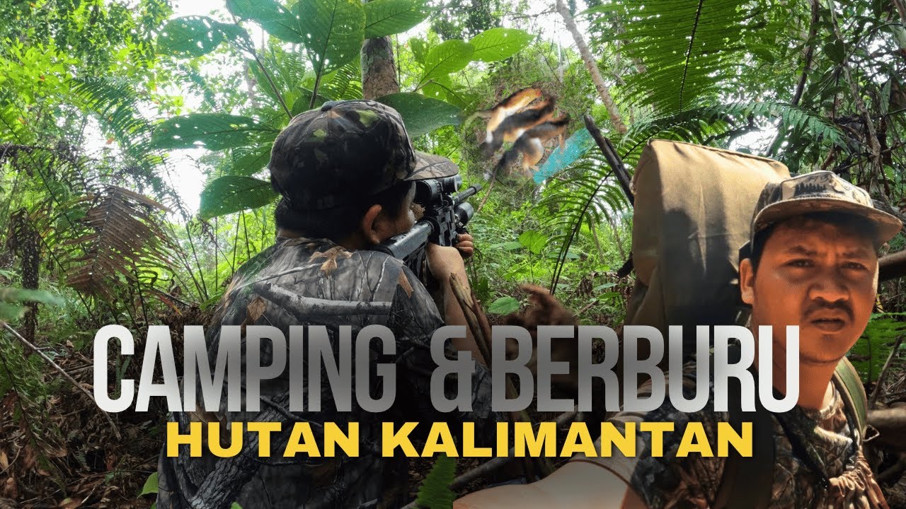 Jelajahi dan bermalam di hutan rimba kalimantan sambil berburu malam ...