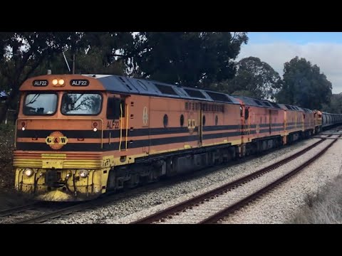 1Rail’s ALF Class Leads ORA Services - Adelaide Hills Grain Action ...