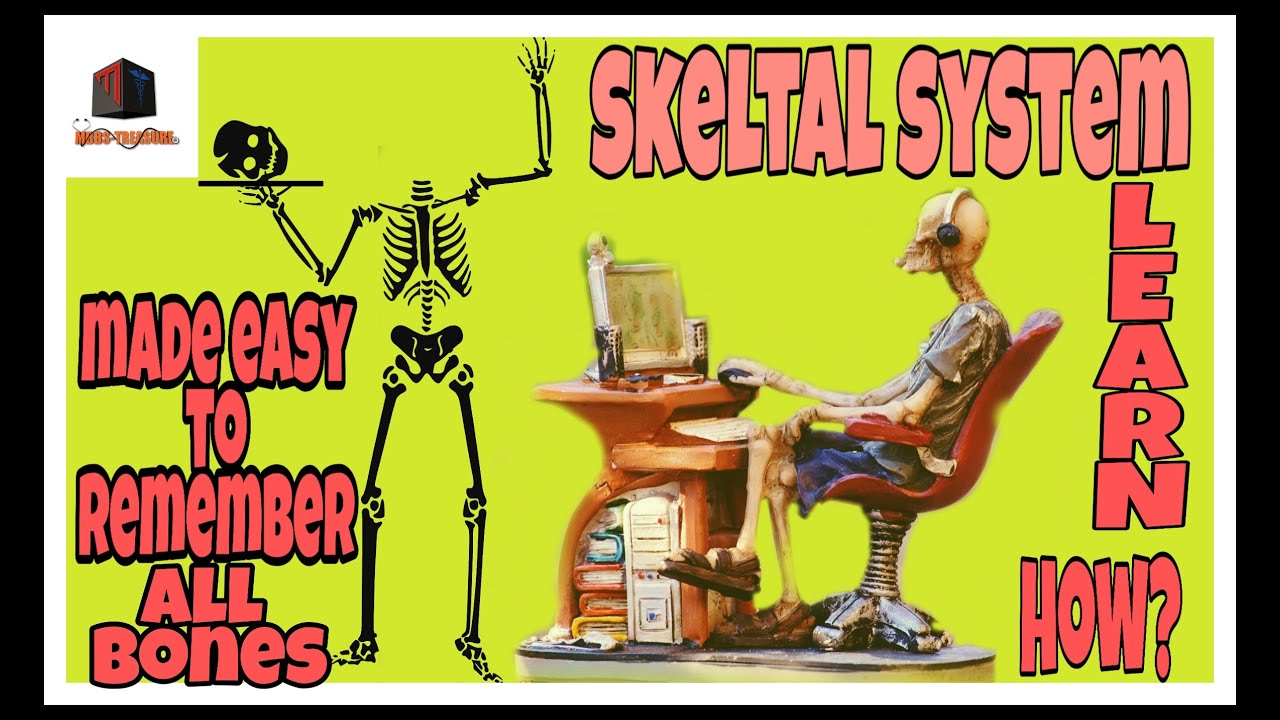 QUICK REVISION of HUMAN SKELETON ||WILL HELP YOU A LOT|| EASY N FUN ...