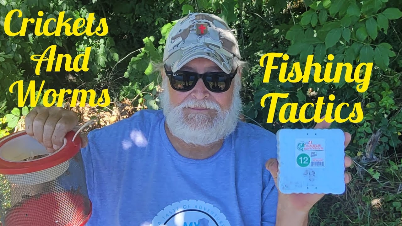 Crickets and Worms For all Fish (Fishing Tactics) - YouTube