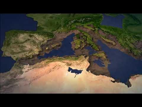 The biological impact of the Messinian salinity crisis in the ...