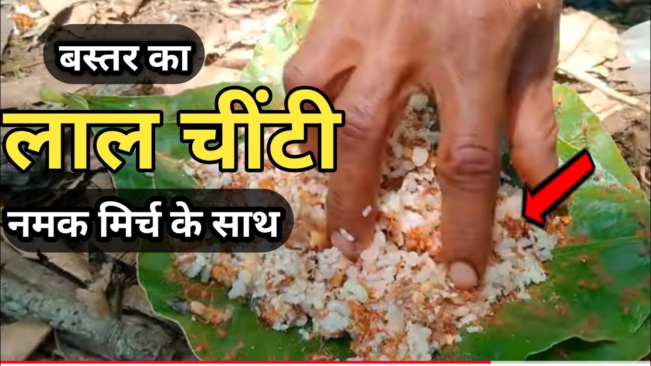 Chapda Chatni kaise Banate hain |Chapda Recipe |Red Ant ki Chatni ...