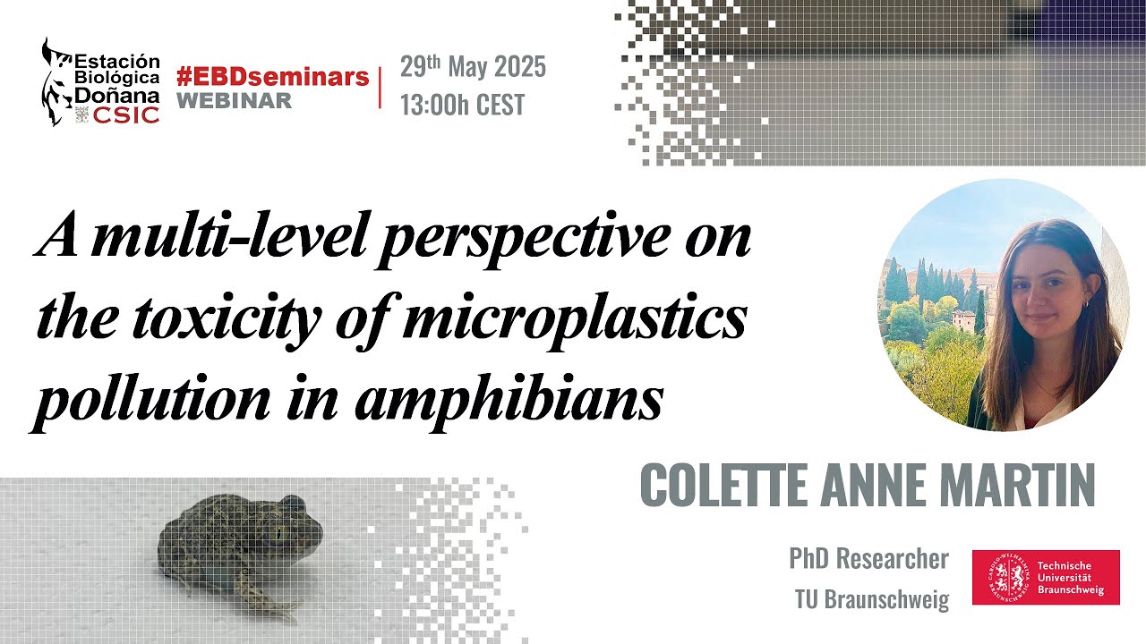 EBD Seminars | Colette Ann Martin - YouTube