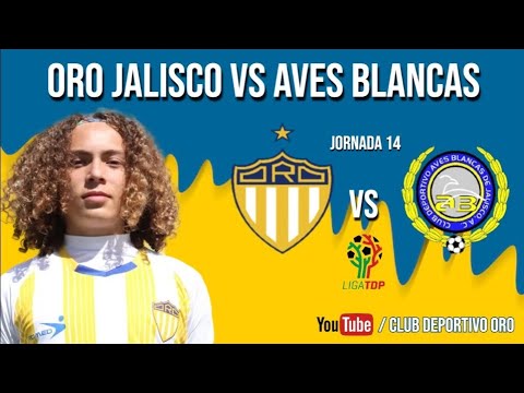 ORO JALISCO VS AVES BLANCAS JORNADA 14 TEMPORADA 22-23 LIGA TDP FEBRERO ...