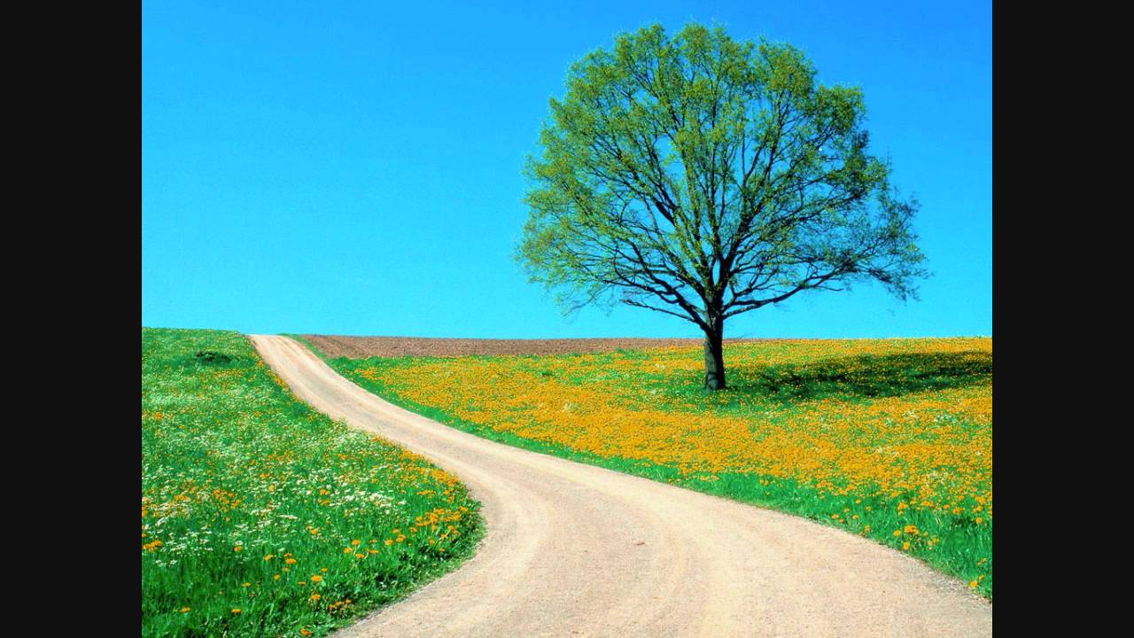 Gary D. & DJ High-Ko - Springworld (Nostrum Remix) - YouTube