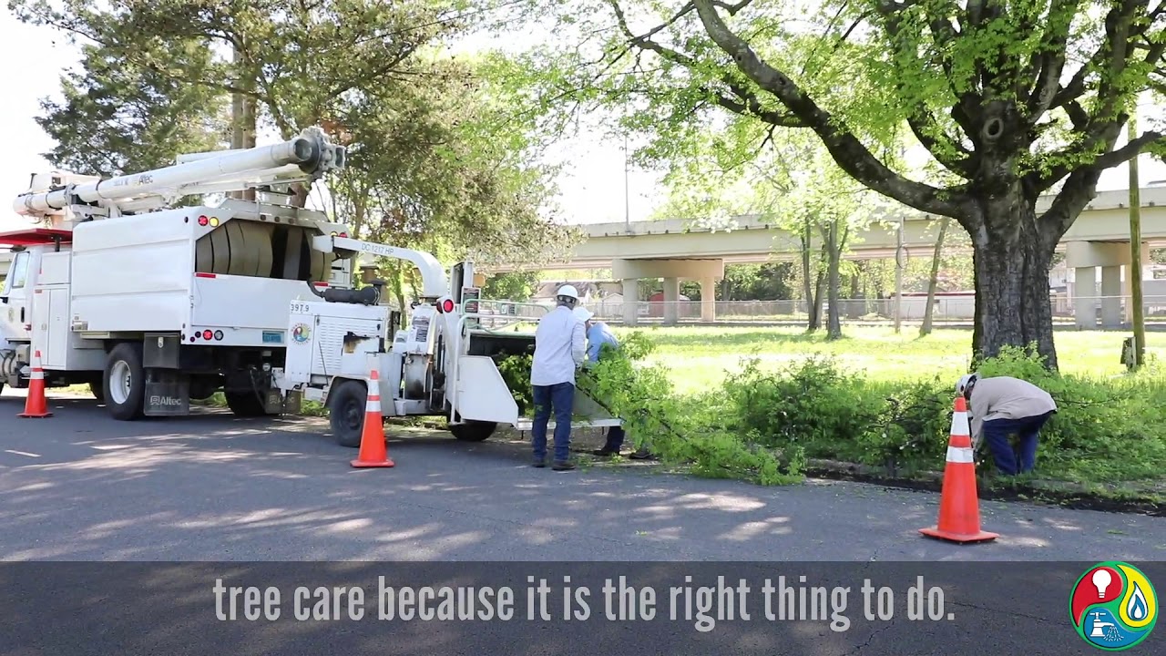 Arbor Day 2019 Huntsville Utilities Tree line USA Award - YouTube