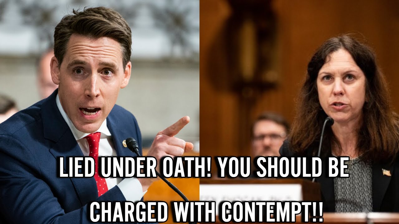 "I'VE Never Seen A Witness BLATANTLY LIE Under OATH"! Hawley BRUTALLY ...