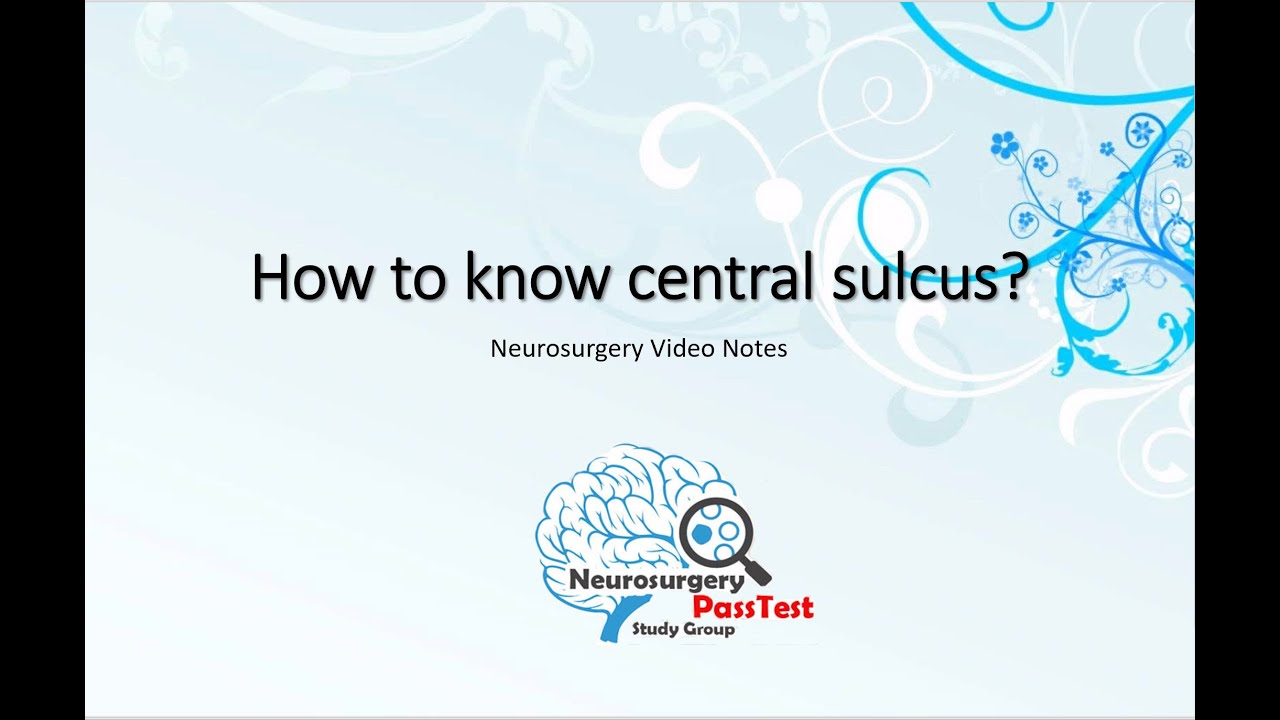 How to Identify Central sulcus Radiologically. - YouTube